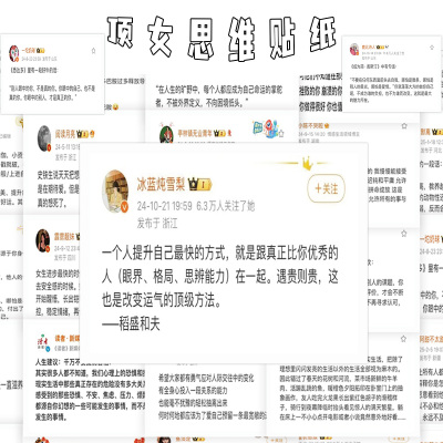 108张顶女思维贴纸简约个性创意趣味文字装饰手机壳桌面防水贴画