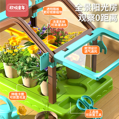 儿童趣味科学实验DIY种植阳光房