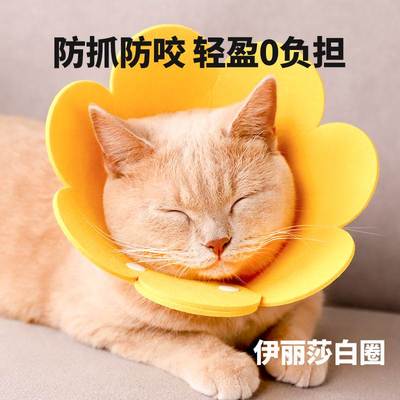 伊丽莎白圈猫咪绝育项圈沙白圈防舔颈圈头套狗狗脖圈宠物用品