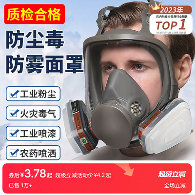 防毒面具全面罩脸防尘电