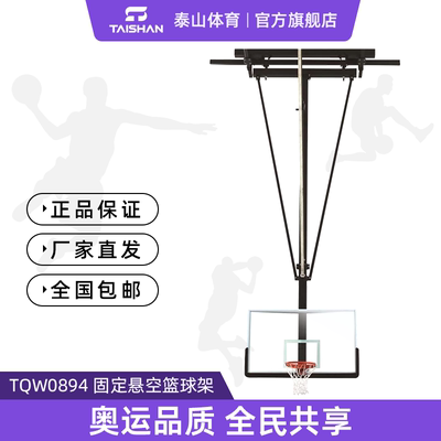 泰山体育电动升降固定吊装