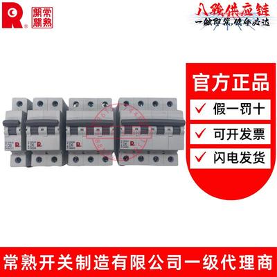 常熟开关CH3N-63小型断路器1P2P3P4P空开10A16A20A25A32A63A 125A