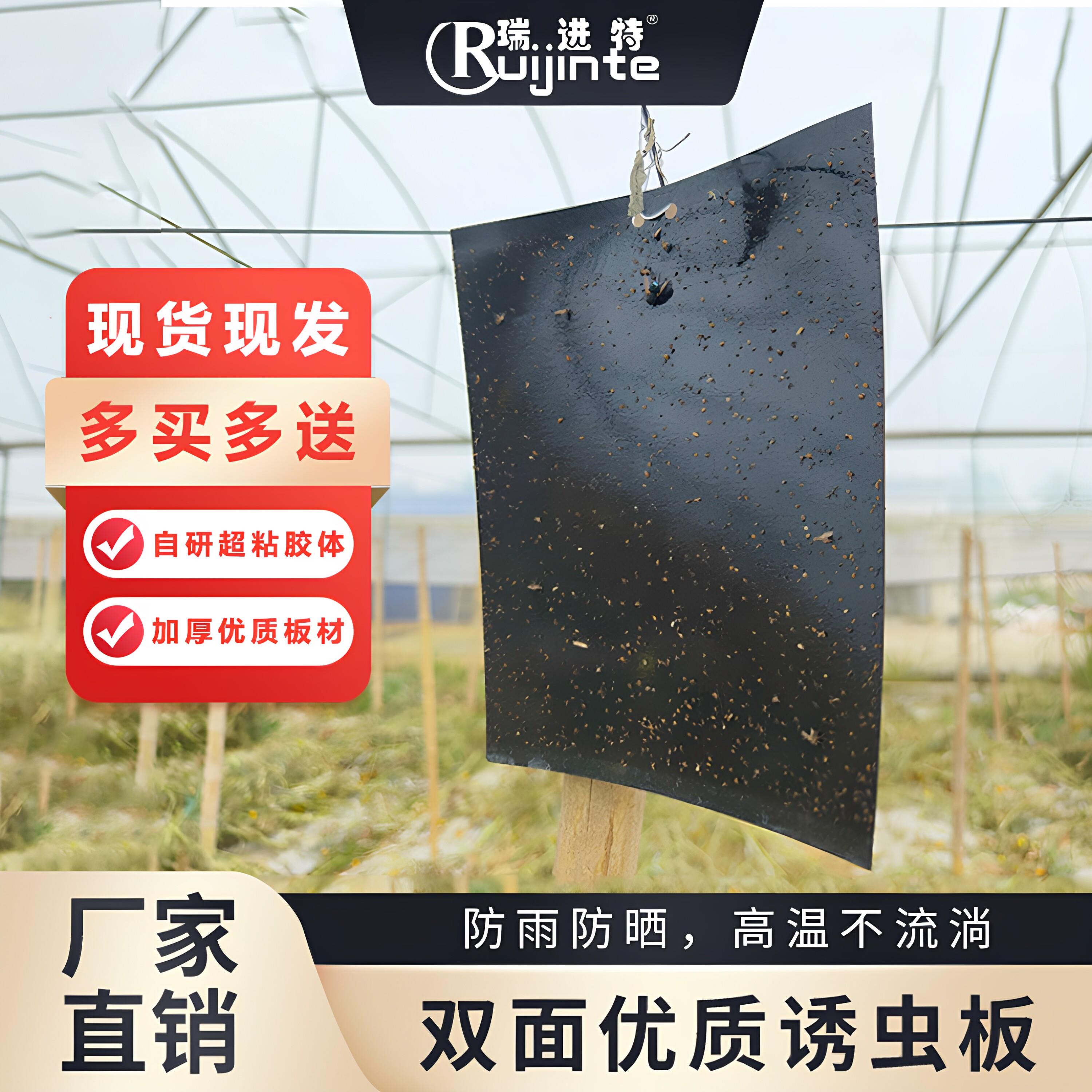 粘虫板诱虫板黑色灭虫板双面黏虫板PP覆膜农用沾虫板韭蛆蠓蚊苍蝇