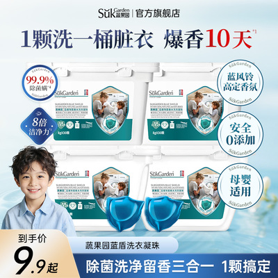 母婴可用蔬果园蓝盾除菌洗衣珠