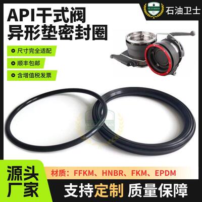 API干式阀密封圈 /DIXON/OPW/OPWLYNX/FORTVALE/EMCO阀密封圈