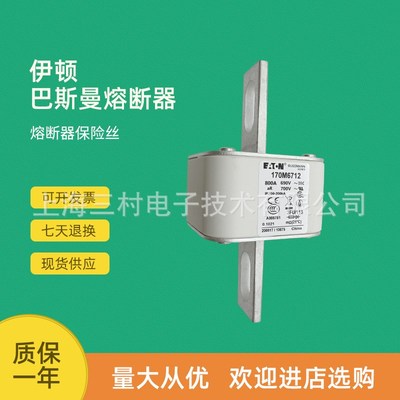 全新原装快速熔断器保险丝170M6218 170M6219 170M6220 170M6221