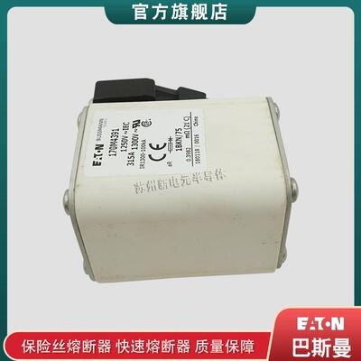 170M4308 4309 4310 4311 4312 4313 4314美国bussmann快速熔断器