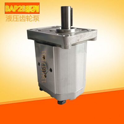 D/0D油泵202DED/D齿轮泵28118D3CD3///122/D1416D25/BE10/AP32BC