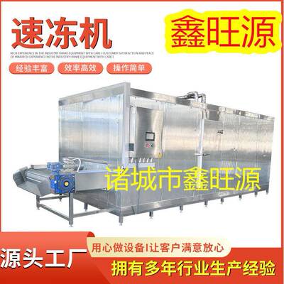 鑫旺源水果平板式冻机设备厂家海红果流态化隧道式速冻机