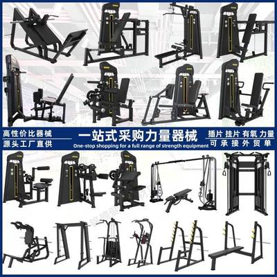 定制商用全套力量健身器材大小飞鸟深蹲架臀桥健身房综合训练器械