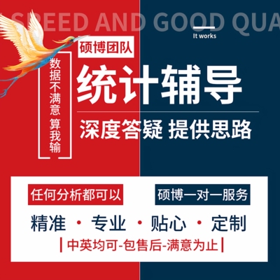spss问卷数据代做调查信效度结构方程模型amos数据分析报告调整