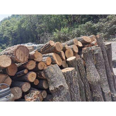 易燃HZR5菊花木炭室木内斤无烟锅火取暖煮茶环保耐烧原木木炭橡白