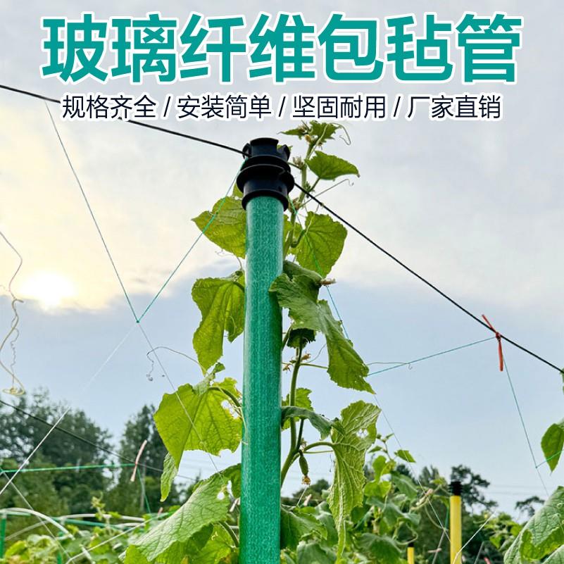 璃新型大棚支架玻维管农作物温室纤骨立架柱OOC高强度包毡搭架遮