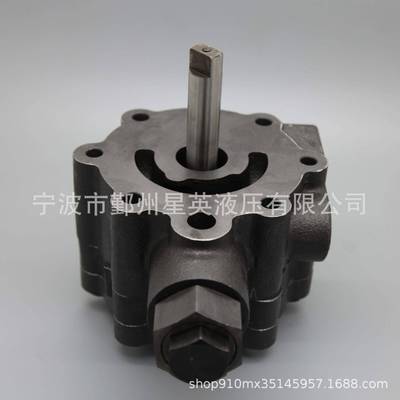 SauerPV22MPT044H1P045Eaton5423LindeHPV55液压泵配件补油泵