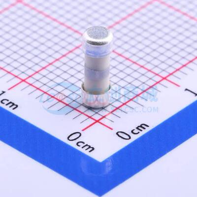 一次性保险丝 0242.050URS D3.02xL8.4mm 250V 原装正品