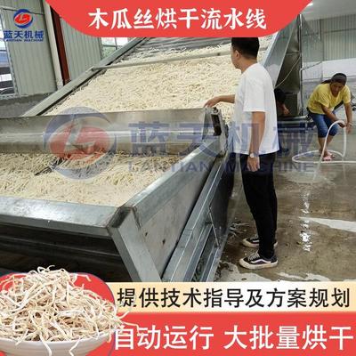 大型木瓜烘干机 履带木瓜丝烘干设备 二十吨广西木瓜烤干机流水线