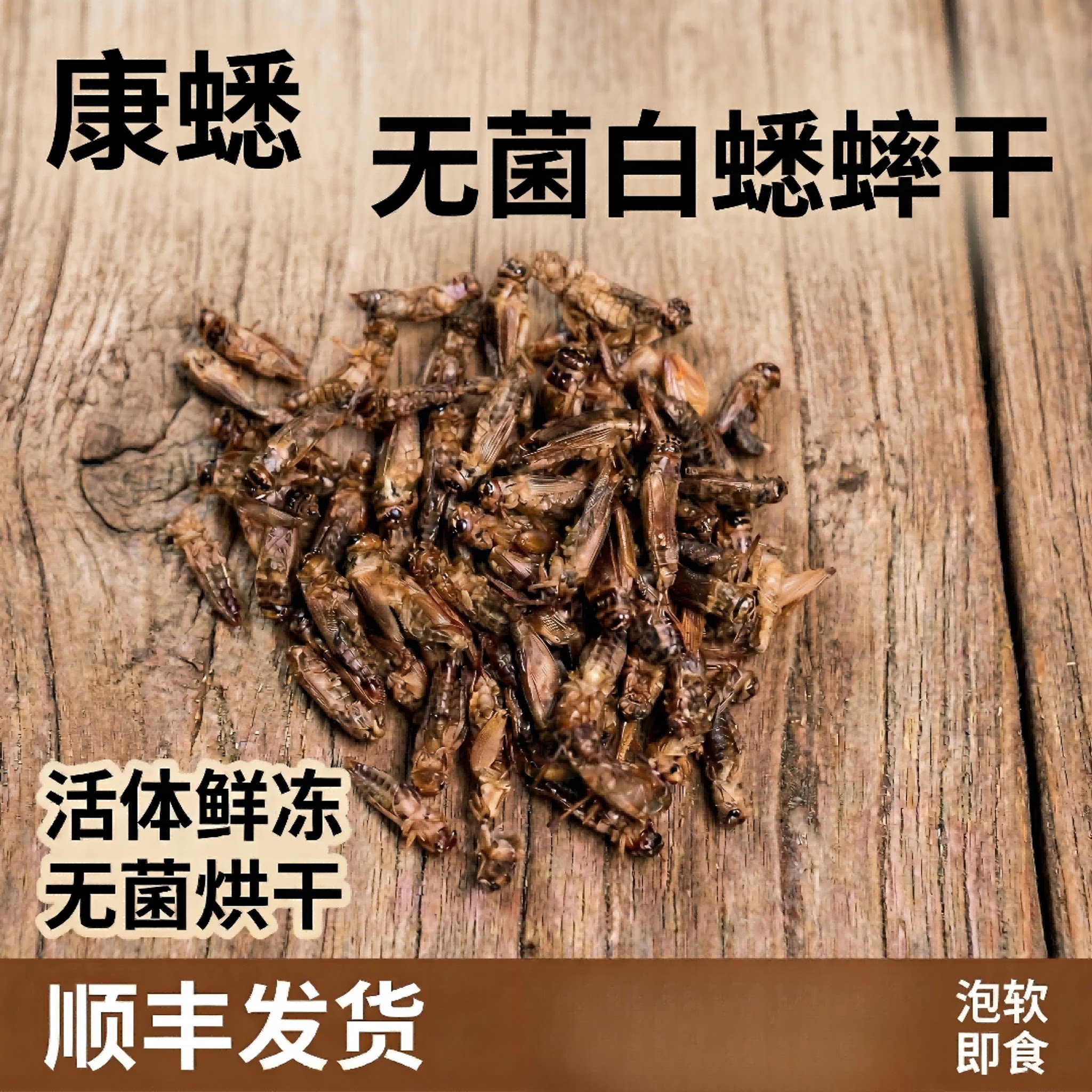 康蟋无菌白蟋蟀干烘干爬宠零食蜜袋鼯花枝鼠粮鸟粮鸦粮鱼食守宫吃