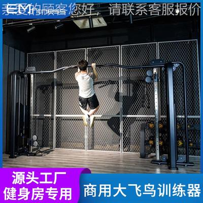 龙大飞鸟门小飞架鸟训48525练器多功能家用健身房材商用器力量运