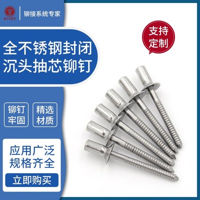 全不锈钢304封闭沉头抽芯拉铆钉耐腐蚀3.2/4/GB12616QBF2埋头钉