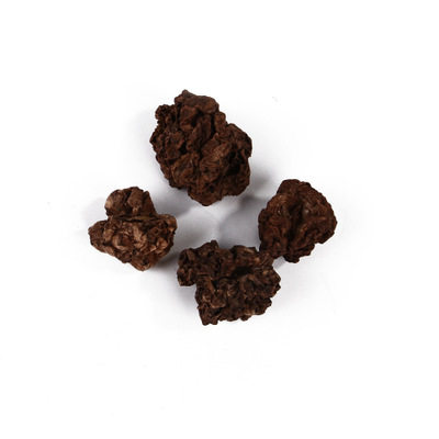 虫瘿果颗粒10粒猫薄荷粉叶新鲜磨牙玩具猫零食猫爱吃的木天蓼果实