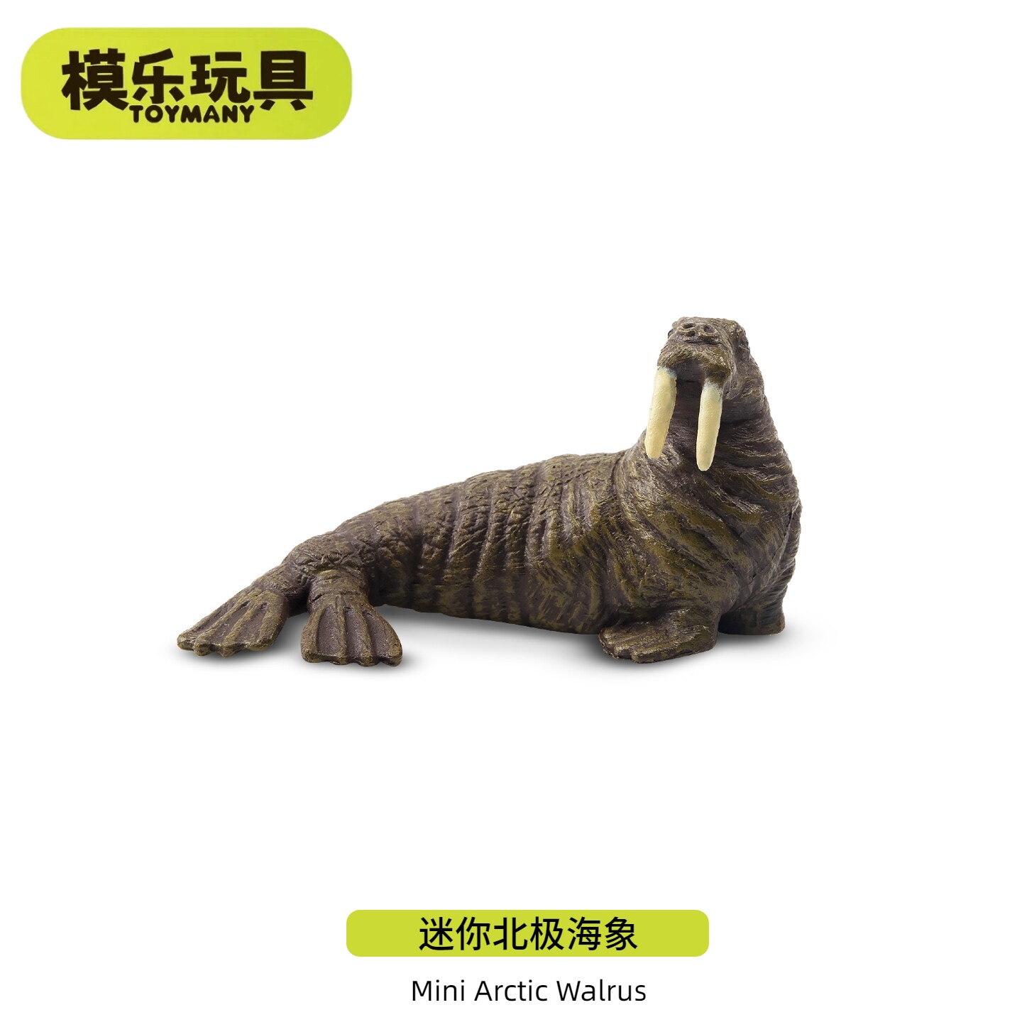 模乐玩具TOYMANY仿真迷你北极海象动物模型极地海洋生物儿童玩具
