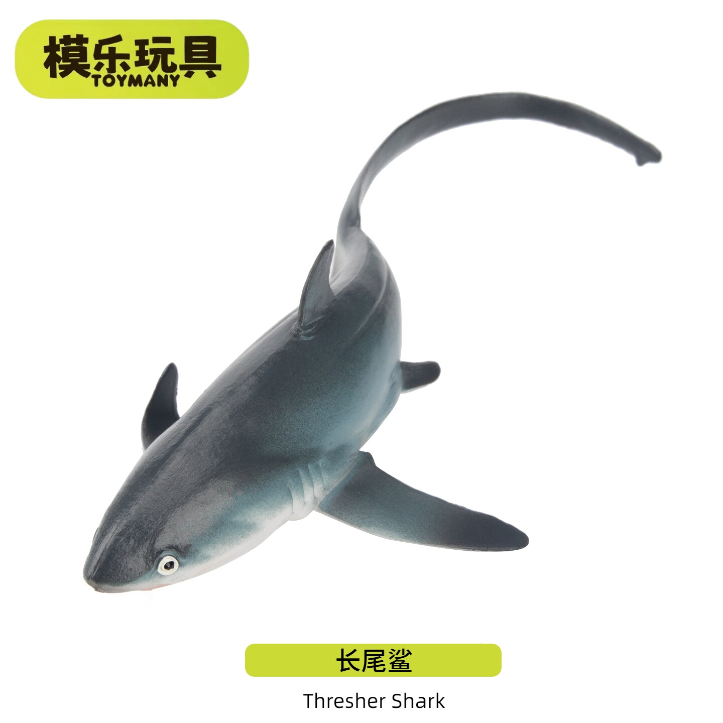 模乐玩具TOYMANY长尾鲨鱼海洋生物系列仿真动物模型狐鲨儿童玩具
