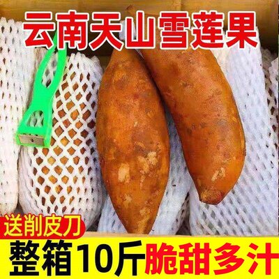 天山雪莲果新鲜水果应当季云南红心雪连果黄心特整箱直发