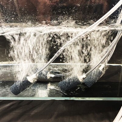 SOBO静音增氧泵家用氧气泵鱼缸养鱼泵充氧机小型水族箱制氧打氧机