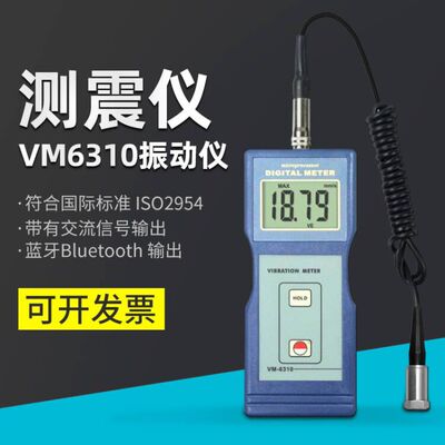 广州兰泰工作测振仪VM-6310 测振仪机械振动检查仪手持振动表