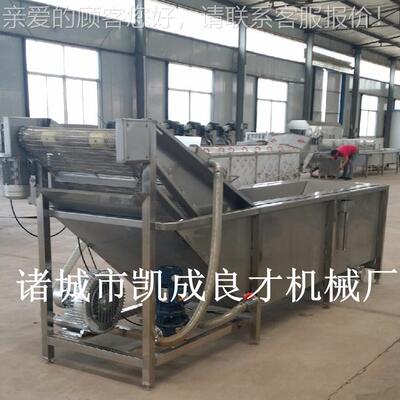 蔬牌多功虾皮水 高效洁净菜果清洗机 果蔬EWP清洗能机