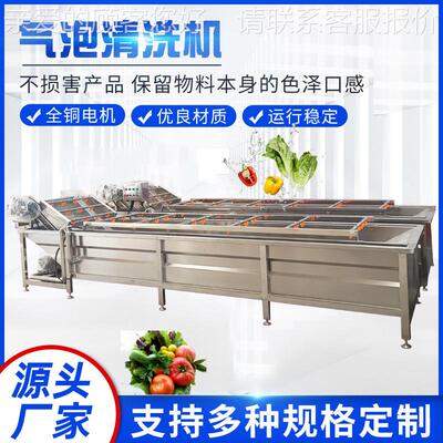 果蔬气泡清机洗 工厂水果蔬RBN清洗设菜备 预制菜净全菜自动洗菜