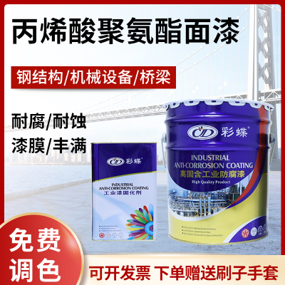 彩蝶丙烯酸聚氨酯防锈漆 高光金属桥梁钢结构翻新油漆 汕尾市工业