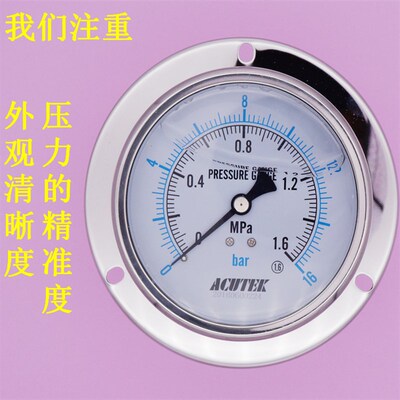 ACUTEK 轴向带边 抗震 防震 耐震压力表 YN100ZT  1.6mpa M20*1.5
