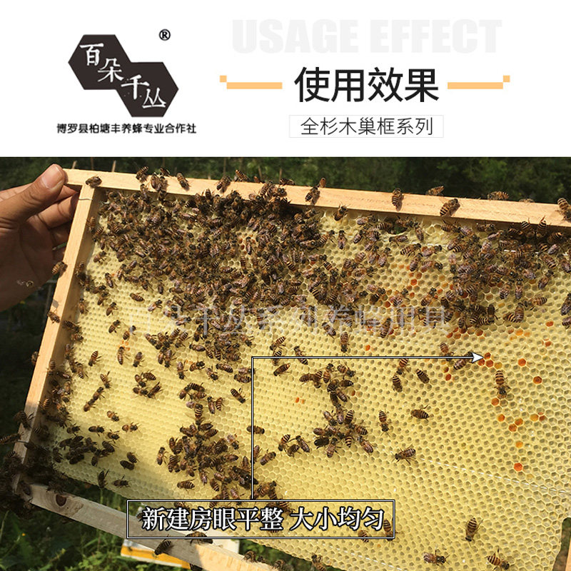 蜜蜂箱中蜂巢础框拉丝巢框成品标准意蜂养蜂工具全百朵千丛