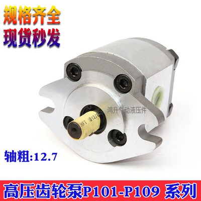 高压齿轮泵P101RP01G P102RP01 P127 P104 P105 P106 P107 P109RP