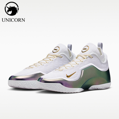 Nike/耐克正品LeBron新款男白紫色经典实战外场篮球鞋IB9558-100