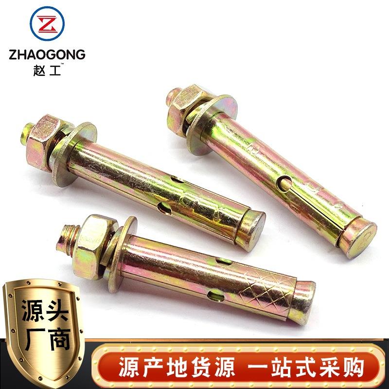 154威膨胀螺丝爆鼎膨胀小带头带孔膨拉胀螺栓铁彩锌孔爆炸膨胀螺