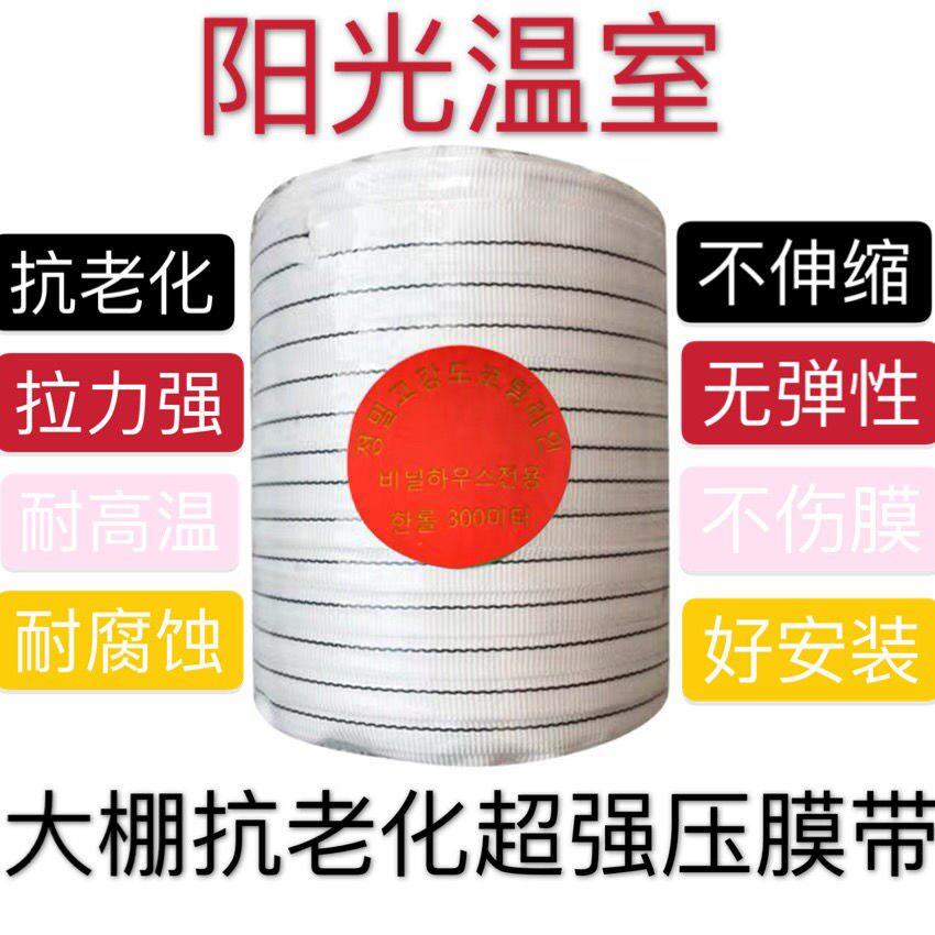 大棚配件大全加厚扁带压膜绳拉树枝葡萄压膜线白色特厚抗老化压带