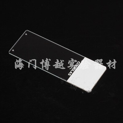 CITOGLAS世泰粘附载玻片 超白玻璃 正电荷防脱 188105W 50片/盒
