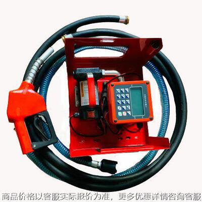 定量油泵 柴油计量泵 DC Fuel Preset Flow Meter Pump Kit
