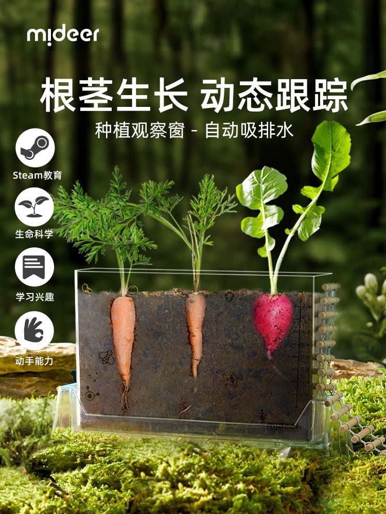 mideer弥鹿阳光房种植儿童科学小实验套装种菜植物生长观察盒玩具_虎窝淘