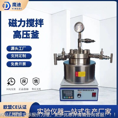 50ml5不00TGYF-Cml微型高压锈钢反拌应釜 -加氢釜加热台式磁力搅