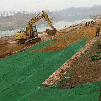 东家现货出山三维植被网 高厂00066速路河道护坡三维售土工网垫