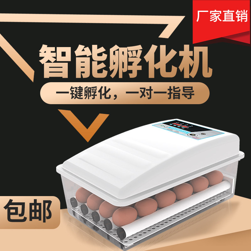 孵化器小型水床孵化智能孵蛋迷你孵蛋器鸽子小鸡蛋孵化箱