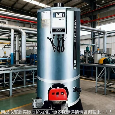 1工吨腐器蚀燃油燃气蒸耐汽发生食品加包装LWF机械