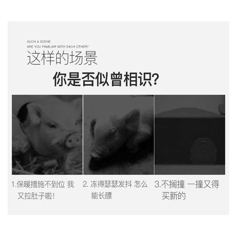 仔猪保温箱小猪取暖箱加厚加大恒温箱母猪产床取暖设备电热板其他