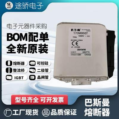 170M8611 170M8612 170M8613  bussmann伊顿巴斯曼熔断器