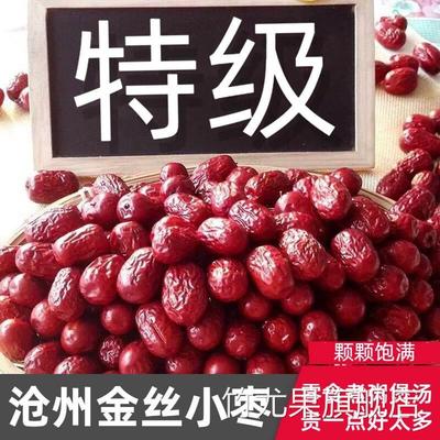 无核红枣沧州金丝小枣新货农家自产小红枣子河北特产旗舰店