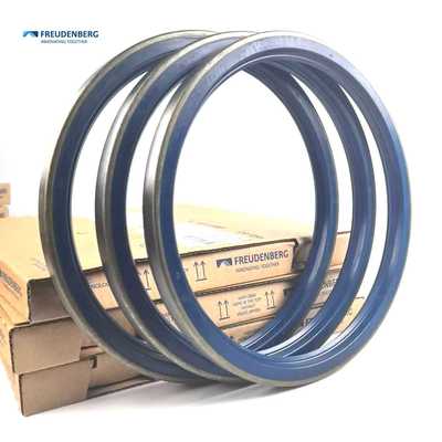 德国FREUDENBERG油封Simrit油封B2U260/300/20/CFW骨架油封密封