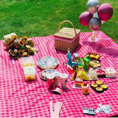 Picnic Blanket Spring Outing Moisture-Proof Pad Outdoor Port